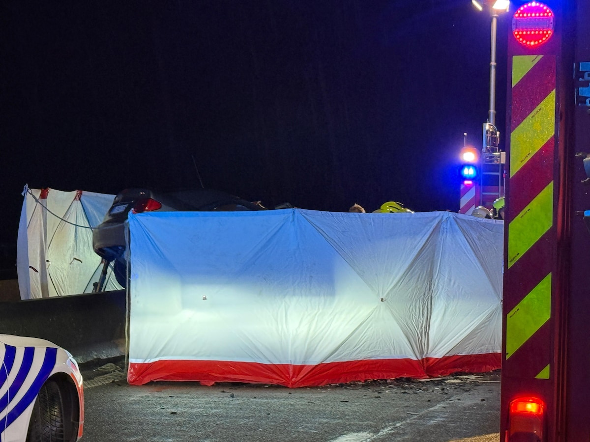 Spookrijder en bestuurster overleden na zwaar ongeval op A12 in Meise ...