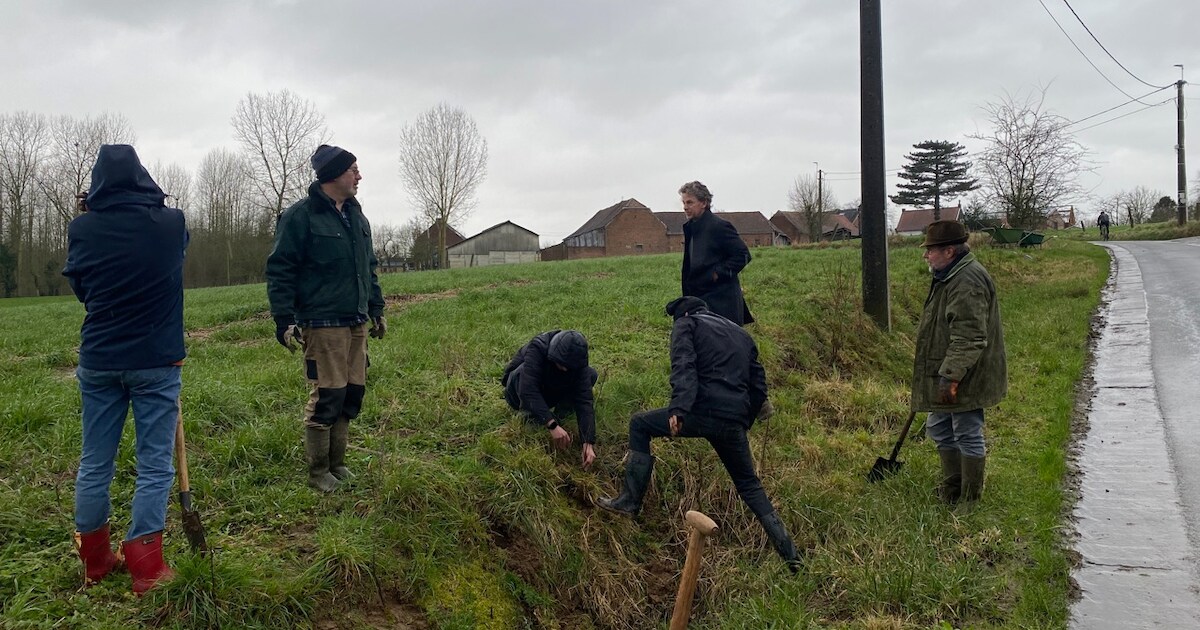 Oppositiepartij LEEF!&Groen plant 100 struiken als signaal naar ...