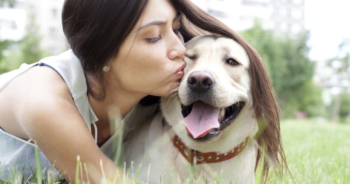 Do's en don'ts bij het strelen van je hond | Familie | HLN.be