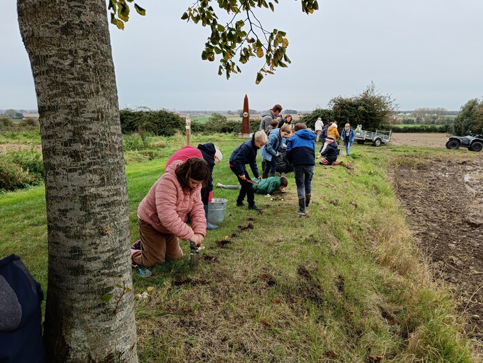 Leerlingen Kleine Ster planten 600 bloembollen voor herdenking Eerste Wereldoorlog | Mesen | hln.be