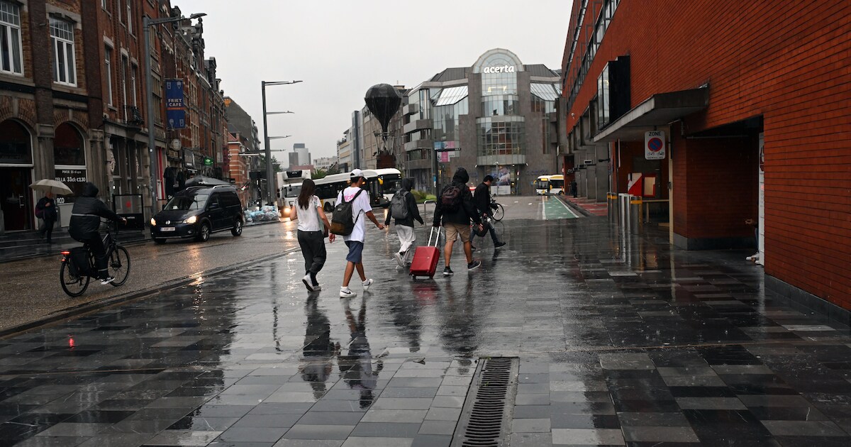 Man (18) wordt gearresteerd na zwartrijden, en steelt later die dag ...