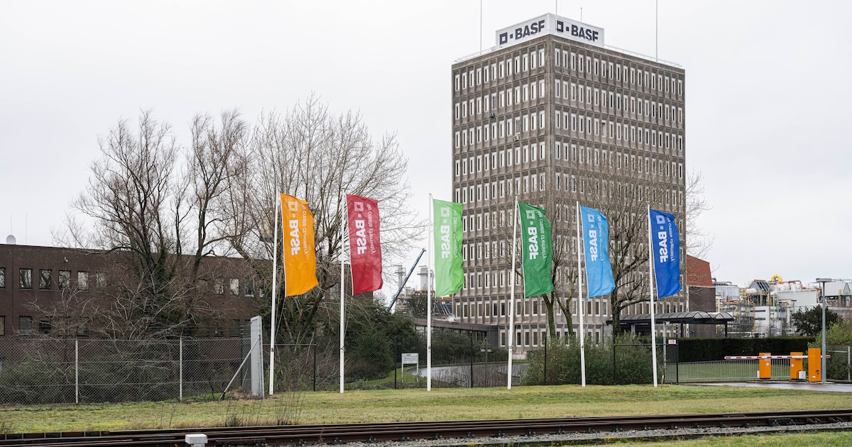 BASF Antwerpen kondigt besparingsplan aan | Antwerpen | HLN.be