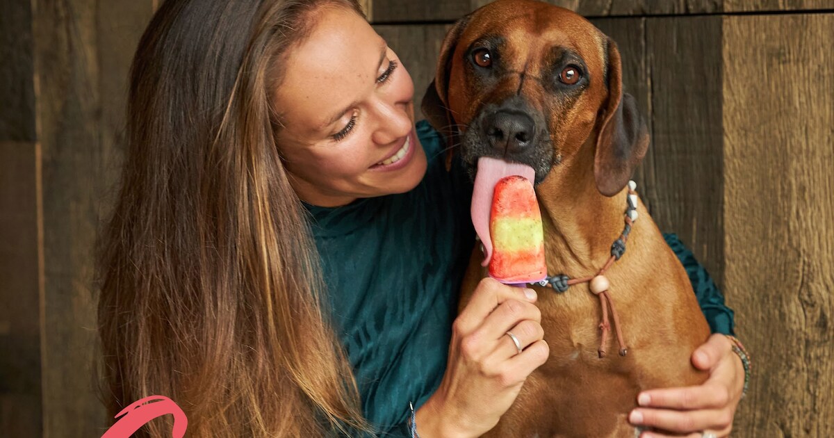 Vrouw Ruben Van Gucht lanceert receptenboek voor honden: “Ik wil de ...