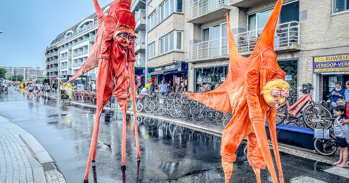 Van braderie met lokale handelaars tot Sam Gooris: dit weekend vinden ...