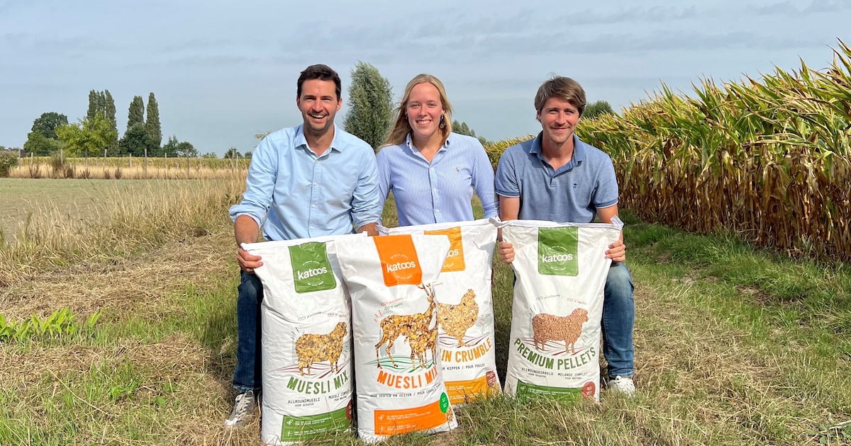 Voeders Decadt maakt nu ook voeding voor hobby- en neerhofdieren | Staden | HLN.be