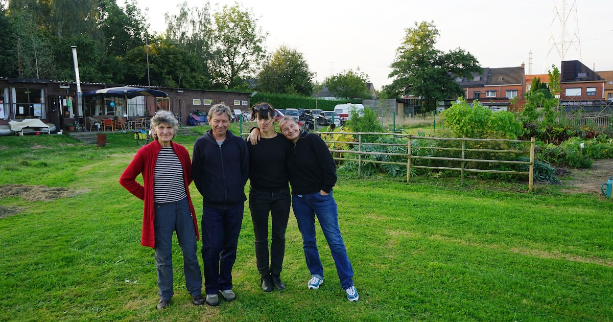 Voormalig voetbalveld wordt ontmoetingsplek voor buurt: “Nu nog ...