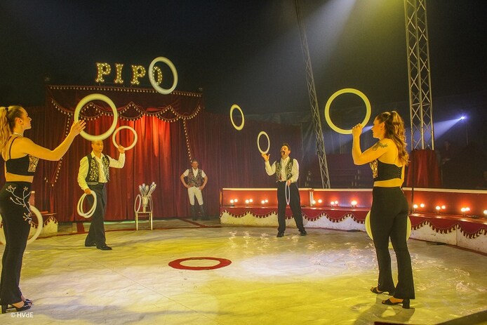 Circus Pipo slaat tot begin volgend jaar tenten op in Eeklo | Eeklo | hln.be