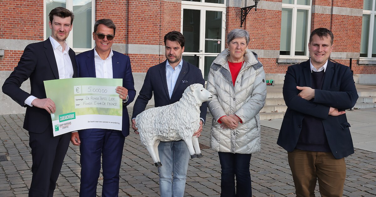 Kunstschapenveiling levert 5.000 euro op voor Emma Deprincefonds | Lier ...