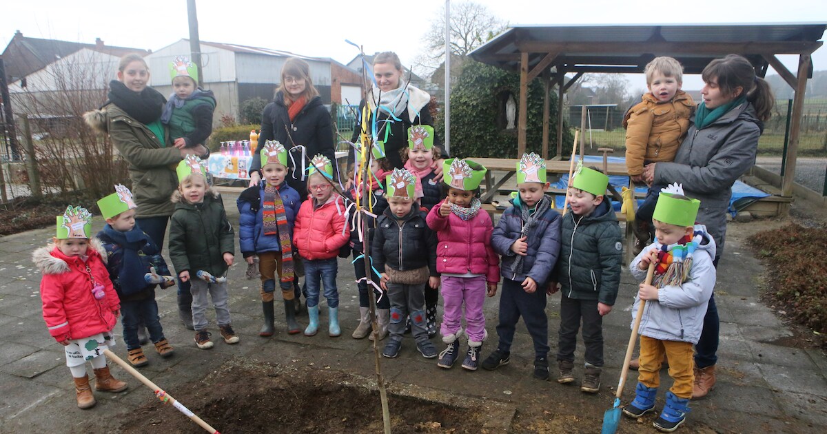 VIDEO: Kleuters van De Notelaar planten nieuwe notenboom | Diest | HLN.be