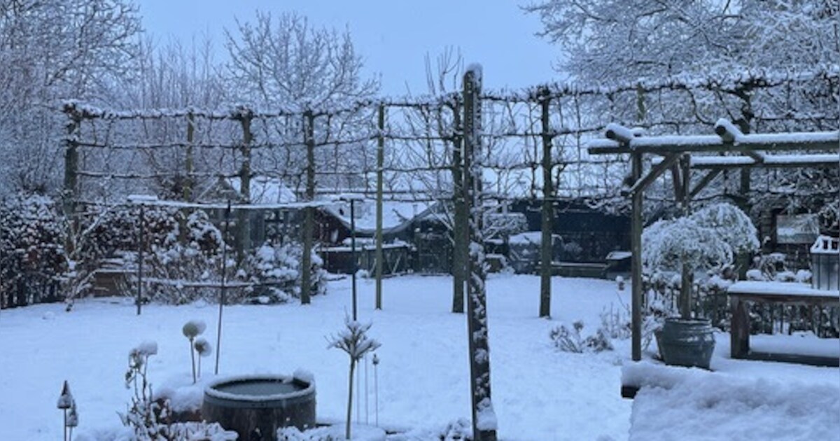 Bellem ontwaakt onder laagje sneeuw | Aalter | HLN.be