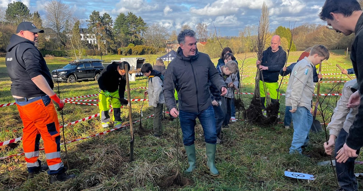 Stad Leuven plant nieuw bos aan in buurgemeente Herent | Regio | HLN.be