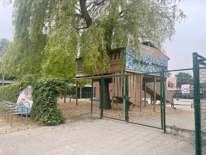 30.000 euro provinciale steun voor meer groen in drie Rotselaarse scholen | Rotselaar | hln.be