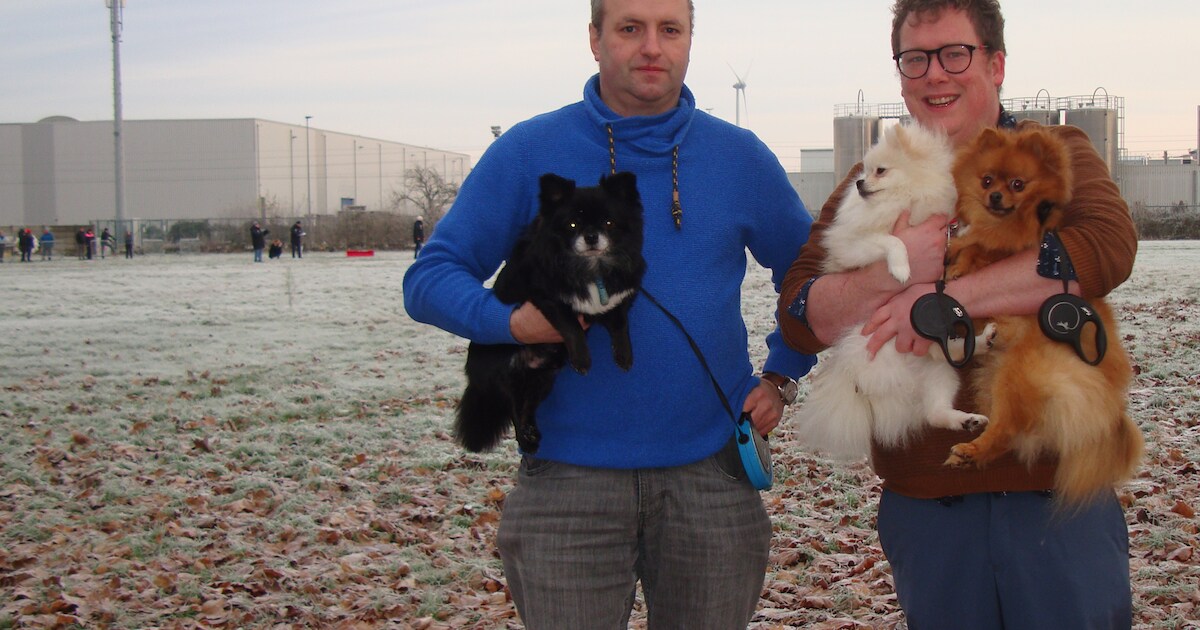 Voltallige gemeenteraad steunt oppositievoorstel hondenlosloopweide ...