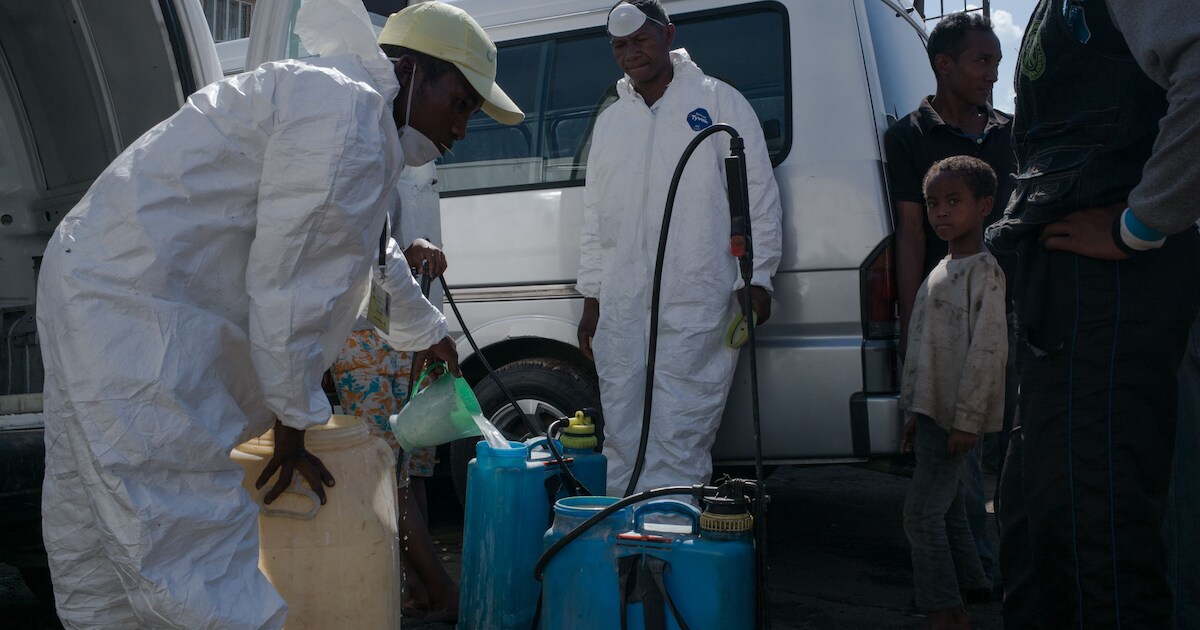 Longpest van Madagaskar bereikt de Seychellen | Buitenland | HLN.be