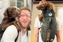 Wat een dierenvriend! Man neemt asielhonden op rugzakavonturen door New ...