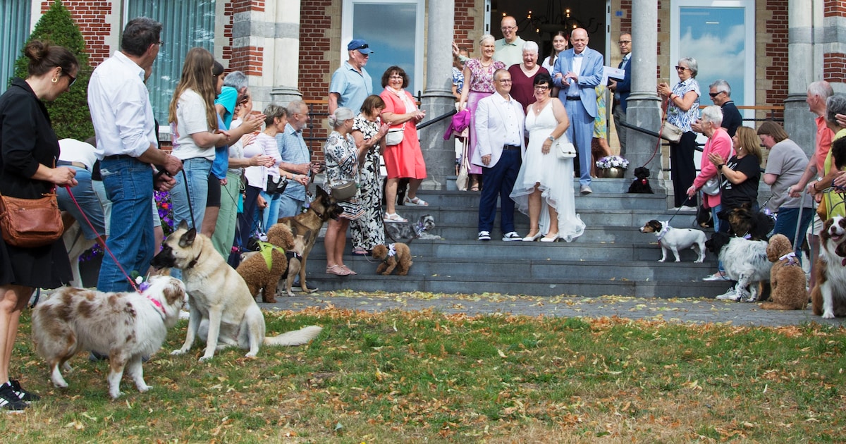 Paul (63) en Nancy (53) worden op hun trouwdag verrast met erehaag van ...