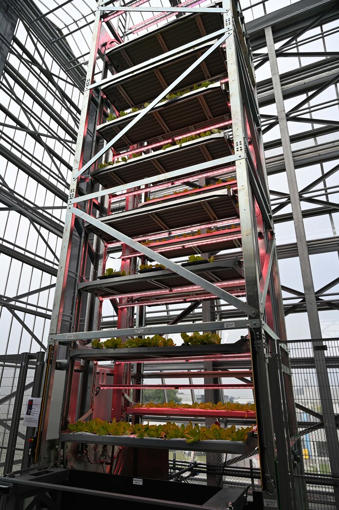 Inagro neemt eerste innovatieve verticale kweektoren in gebruik bij ...