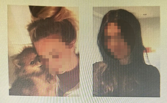 Drugsbaron Flor Bressers zou gestolen meesterwerk hebben gekocht “om ...