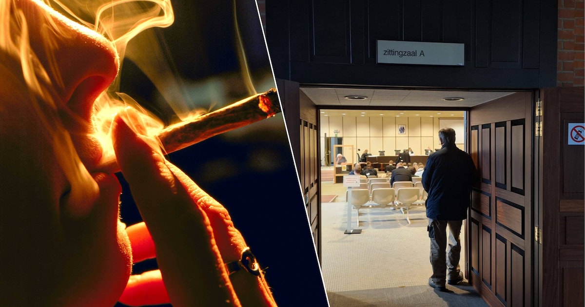 Papa (43) crasht onder invloed van alcohol en drugs tegen duiker met ...