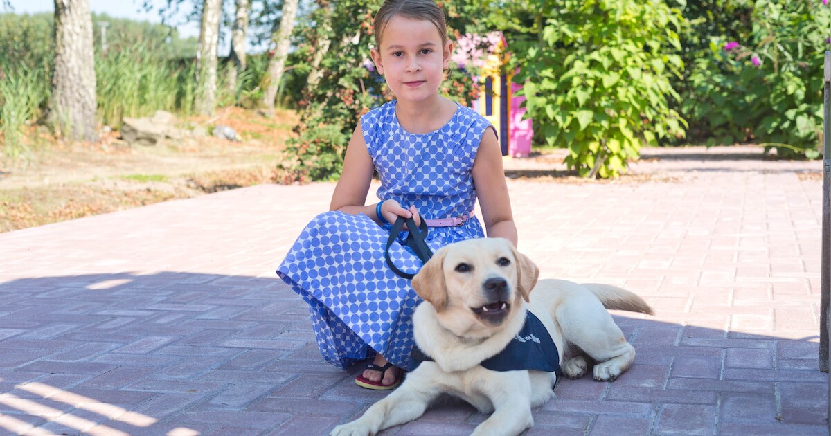 Hond voor Emily (8) kost 20.000 euro | Diepenbeek | HLN.be