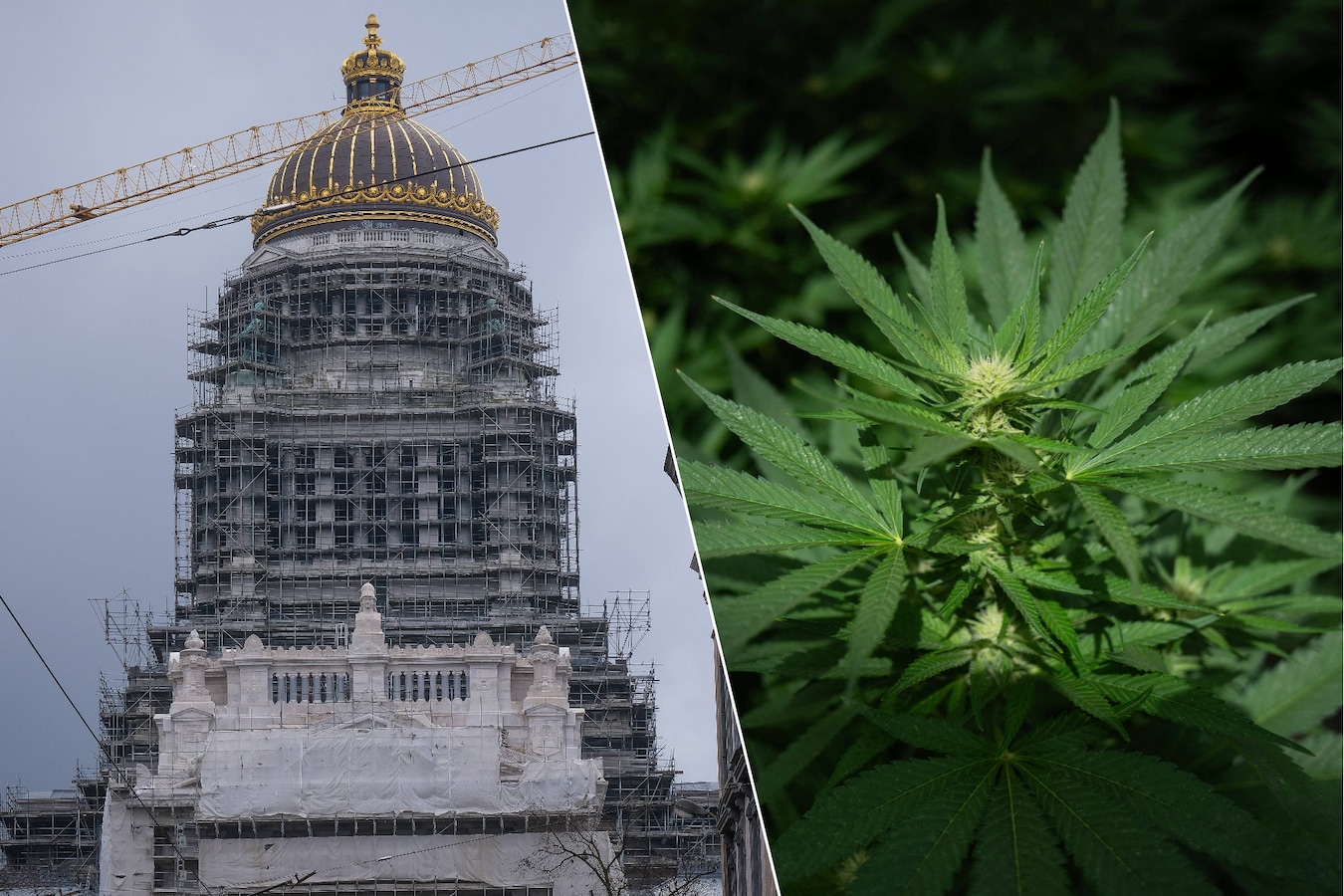 ‘Gevonden’ doos vol cannabis leidt tot celstraf | Foto | hln.be