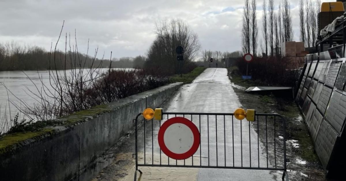 Werken jaagpad Schelde | Regio | HLN.be