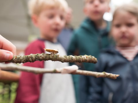 1.303 planten- en diersoorten geteld op 1.000-soortendag: “143 soorten ...