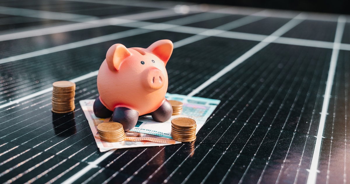 Vorig jaar scheen de zon in totaal 1.841 uur: wat betekende dat voor de ...