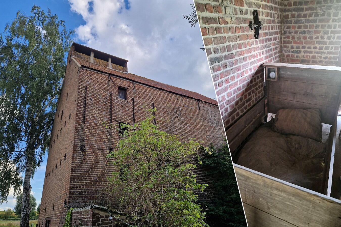 Striptekenaar Ivan (56) herwerkt 100 jaar oud verhaal van Stijn Streuvels tot graphic novel ...