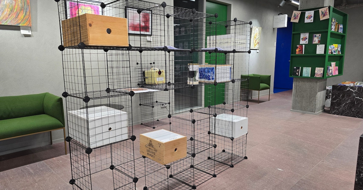 Kijkdozen met haiku’s van BV’s: van Delphine Lecompte tot Herman Van ...