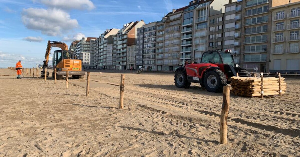 Proefproject met nieuw duingebied van 5.400 m² moet kust van Knokke-Heist beter beschermen ...