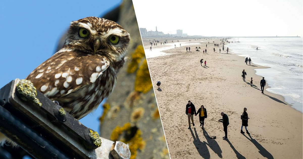 Wat te doen in Brugge en aan de kust dit weekend: van nachtelijke ...