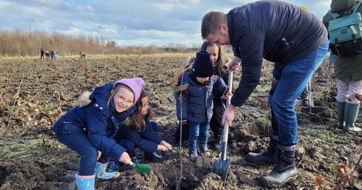 Bergmolenbos krijgt er vierduizend bomen bij: “100.000ste boom komt ...