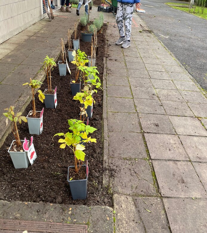 Leerlingen van basisschool De Vloedlijn starten met vergroening op de speelplaats | Oostende ...