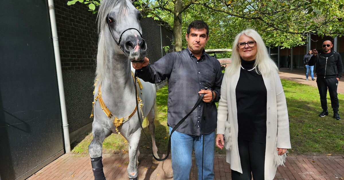Stoeterij Jadem Arabians viert 45-jarig bestaan en schenkt 25.000 euro ...
