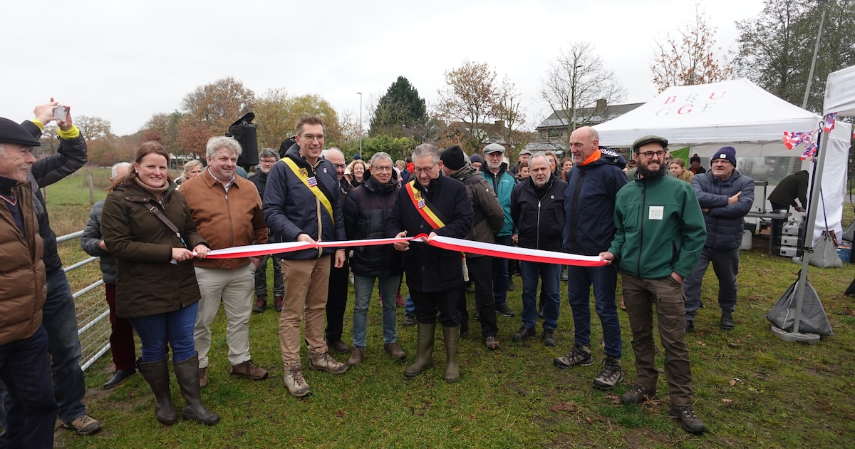 Extra groen voor Sint-Andries: natuurproject Foreest is helemaal klaar ...