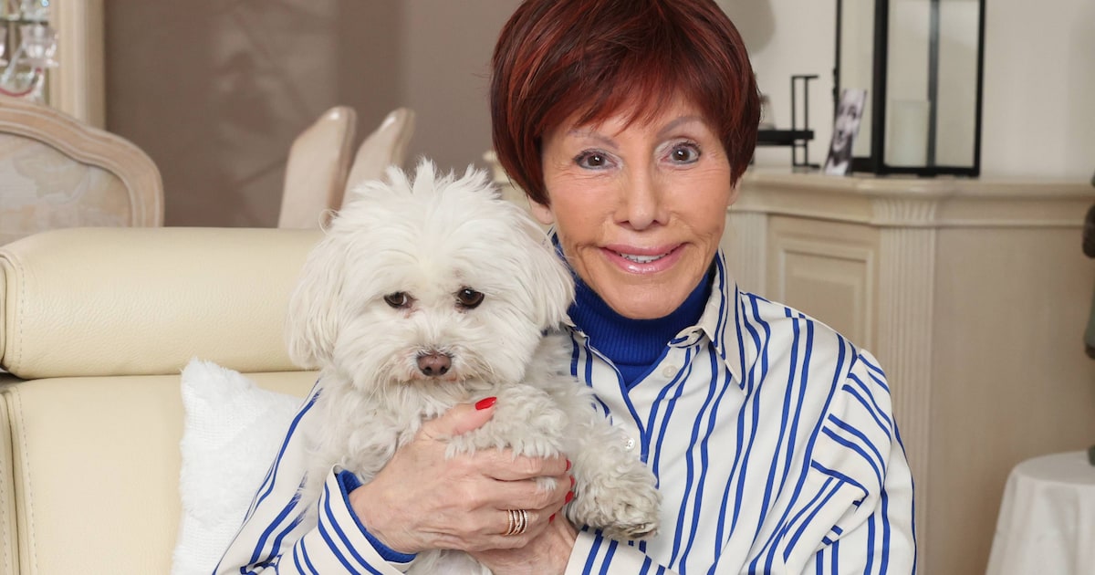 Geen mooie jubileumshow in Het Witte Paard voor Jacky Lafon: “Dit is ...