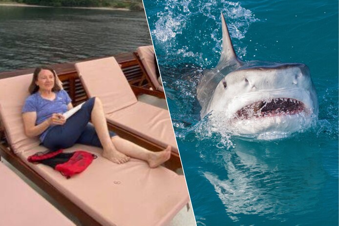 Visser ziet haai in nood, dier blijkt zich te verslikken in ...