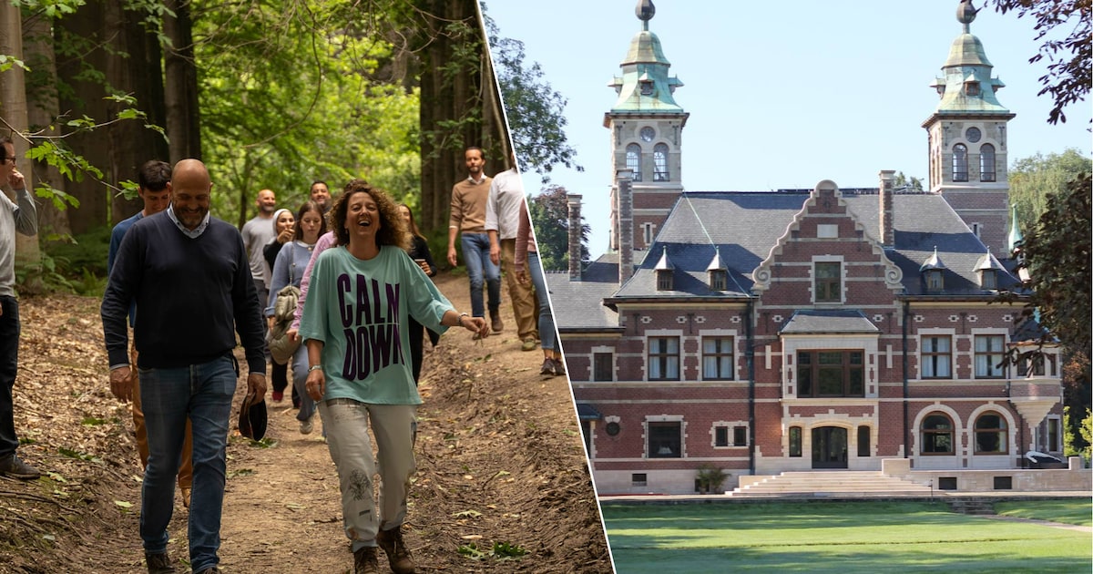 Op deze 8 plekjes in de Denderstreek en Vlaamse Ardennen maak je een ...