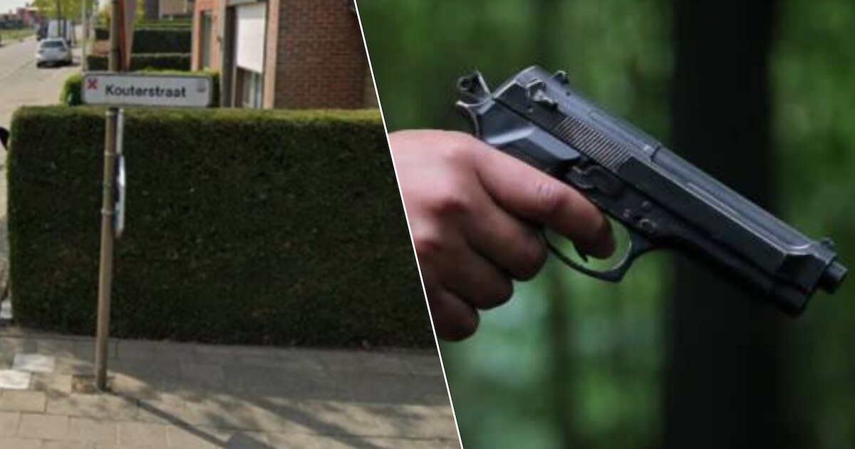 Bewoonster jaagt twee dieven weg met schot uit alarmpistool | Regio ...