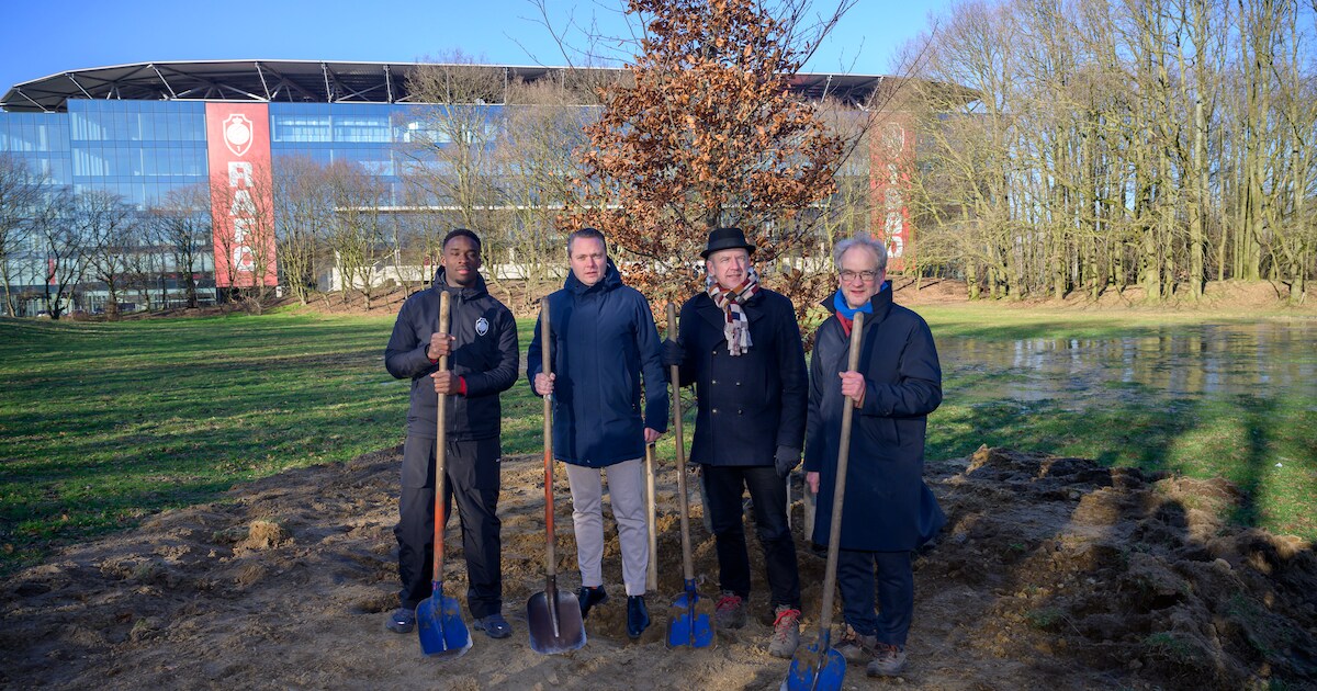 Deurne plant boom ter ere van RAFC | Regio | HLN.be