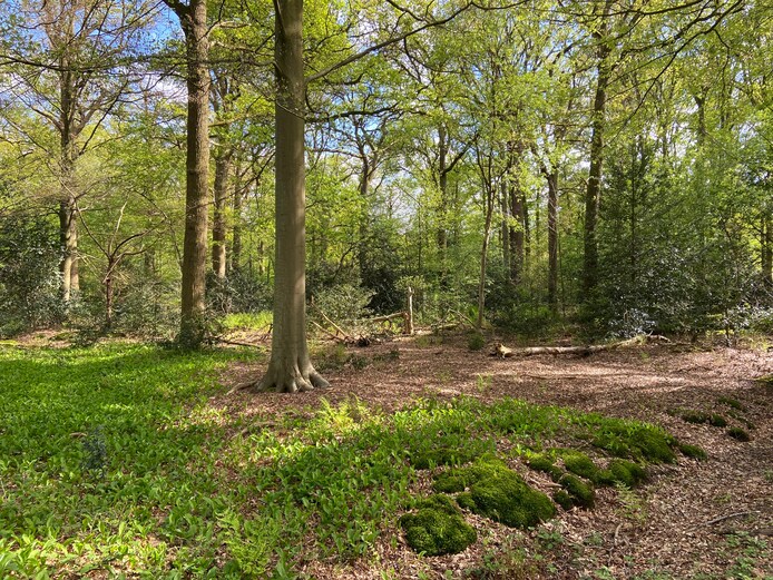 RESTOTIP. Crèmerie Geybels: smullen van heerlijk ijs in rustieke hoeve ...