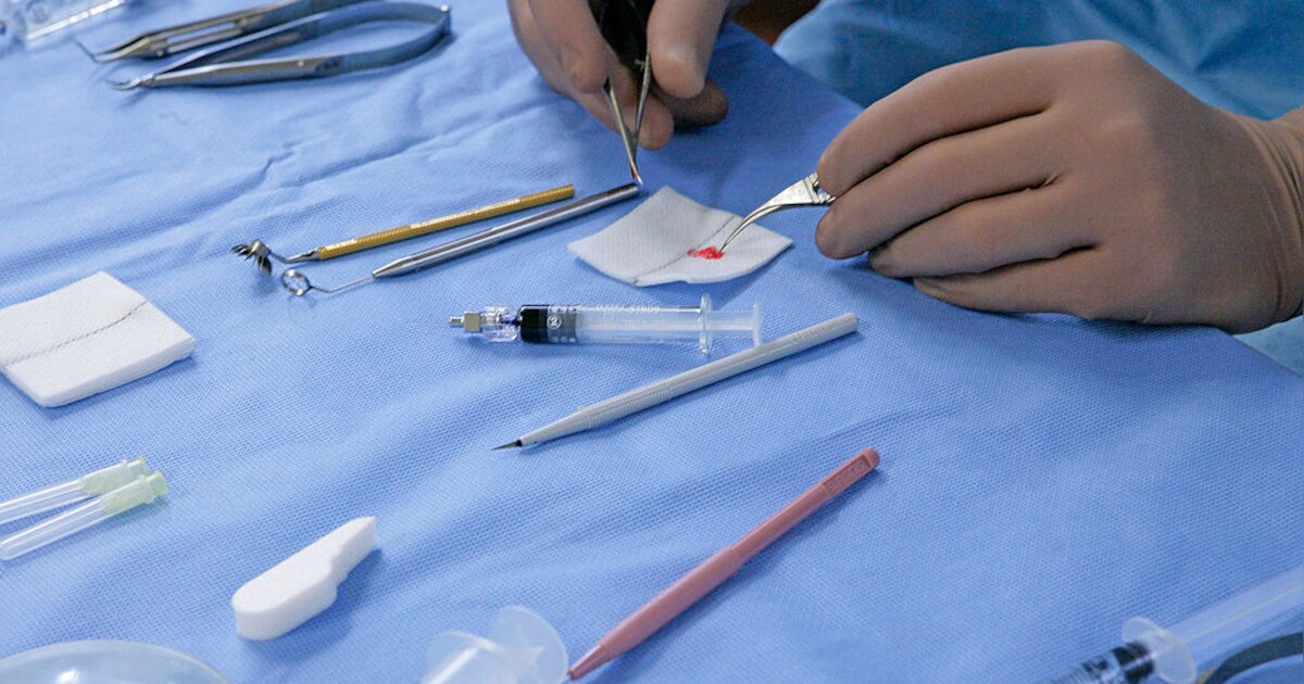 Poolse oogspecialist redt Oekraïense mama en haar tweeling van ...