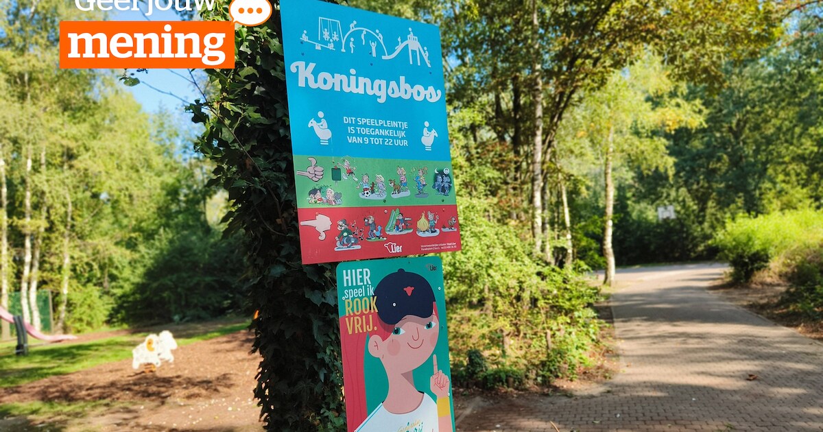 “Doorbreken van stenen woestijn”: dit zijn jullie reacties op waar Lier ...