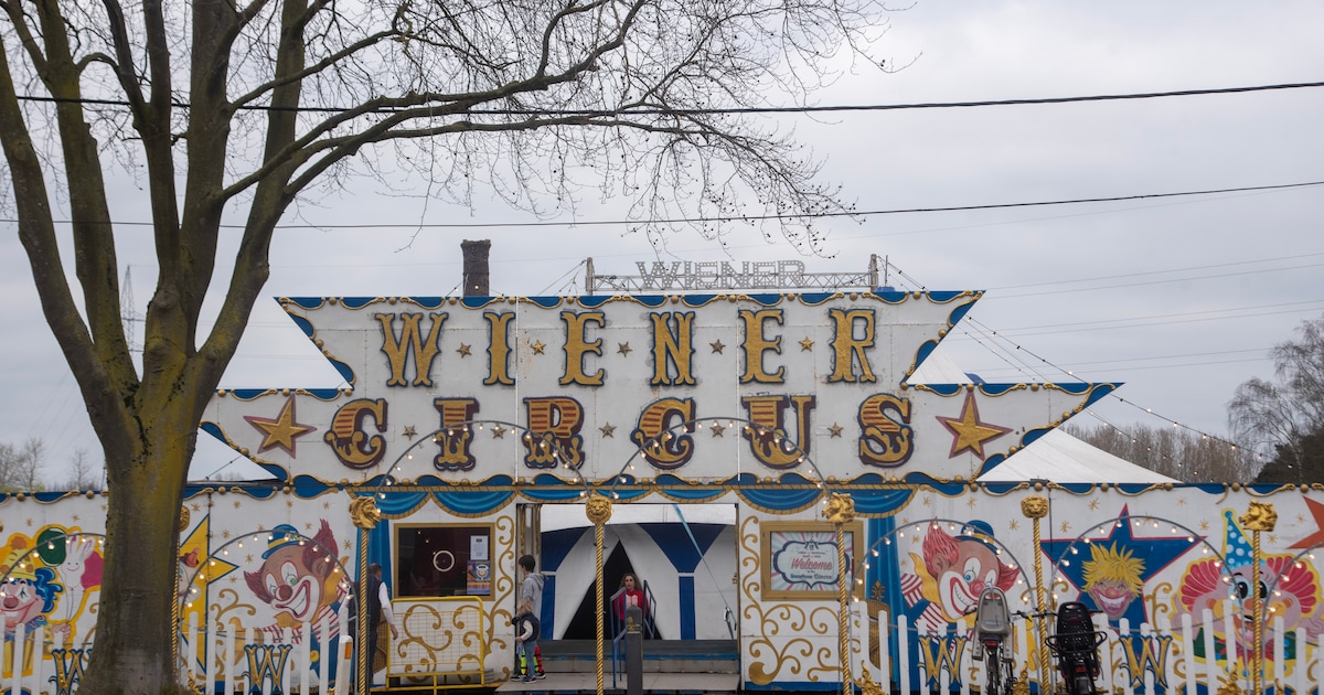 Wiener Circus geeft feestelijke show voor 60ste verjaardag | Merelbeke ...