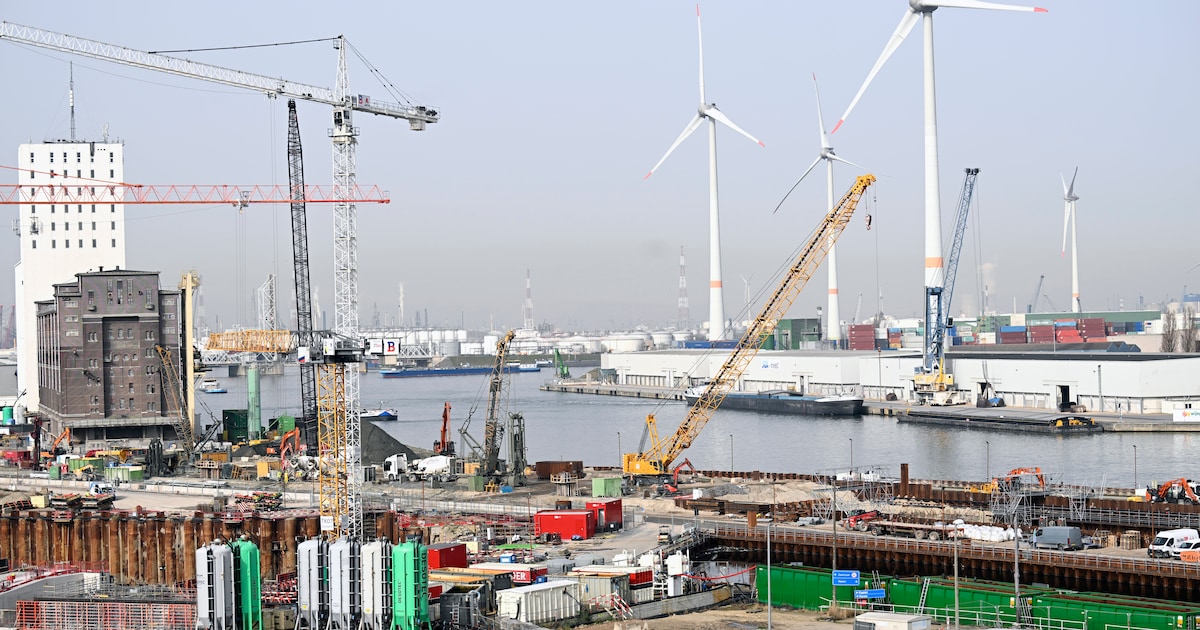 “Antwerpen gaat volledig op slot”: tientallen schepen vast voor havens ...