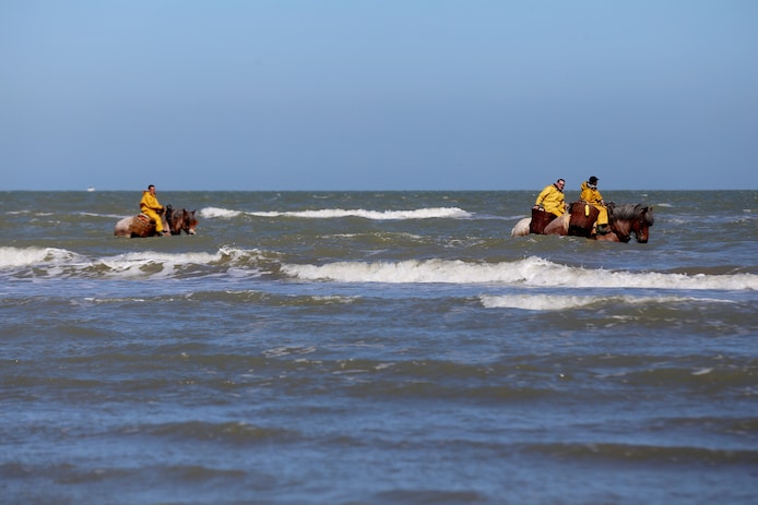 MIJN DORP. Handige harry Pierre over Koksijde: “De Zeedijk van ...