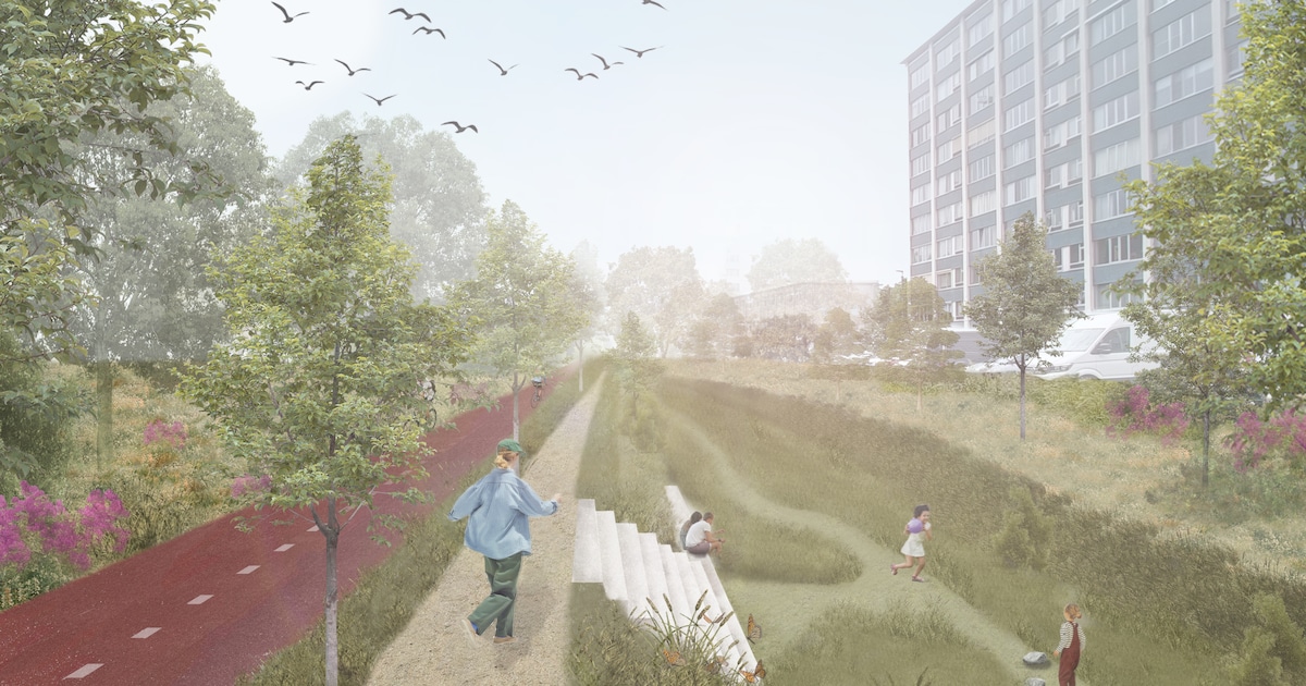 Wouter Haecklaan krijgt complete facelift na vervanging ‘brokkelbruggen ...