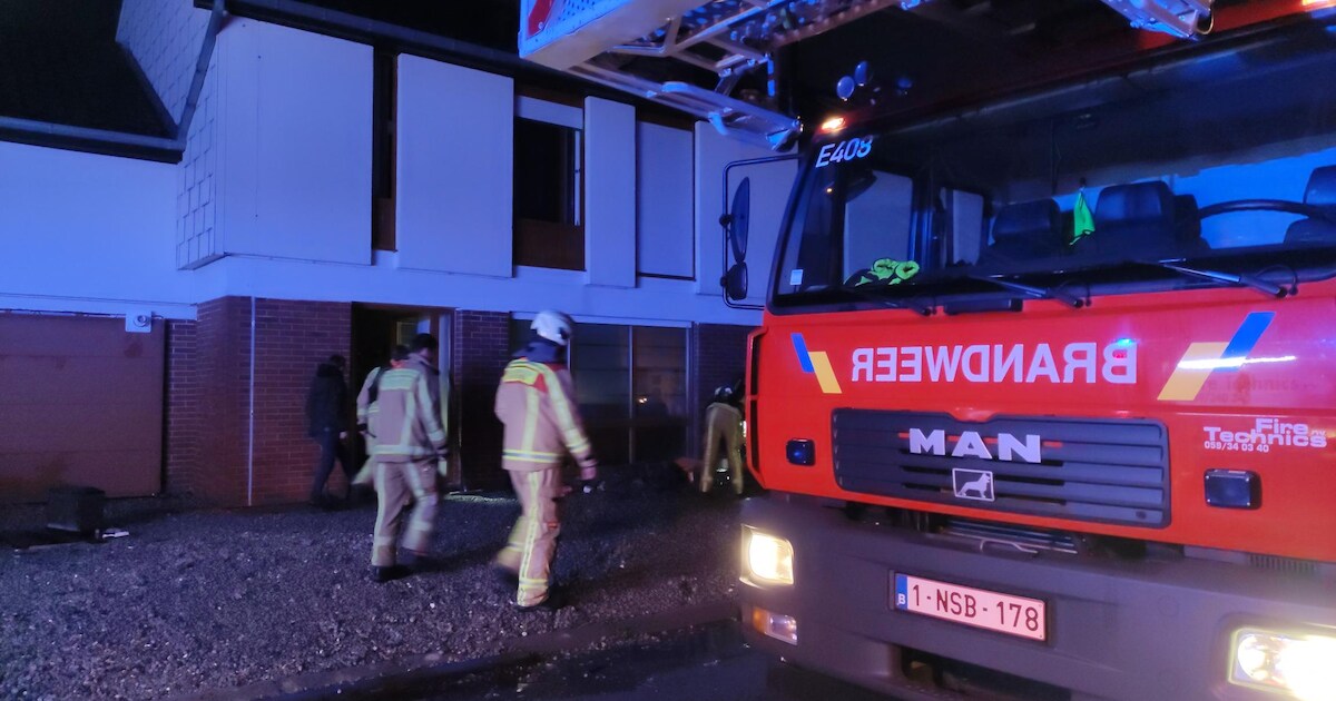 Woning onbewoonbaar na brand in woonkamer: kat en vogels stikken in de ...