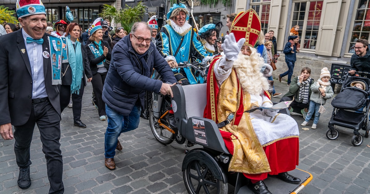 Sint-Maarten komt op 8 november naar Aalst: feest op het Werfplein met ...
